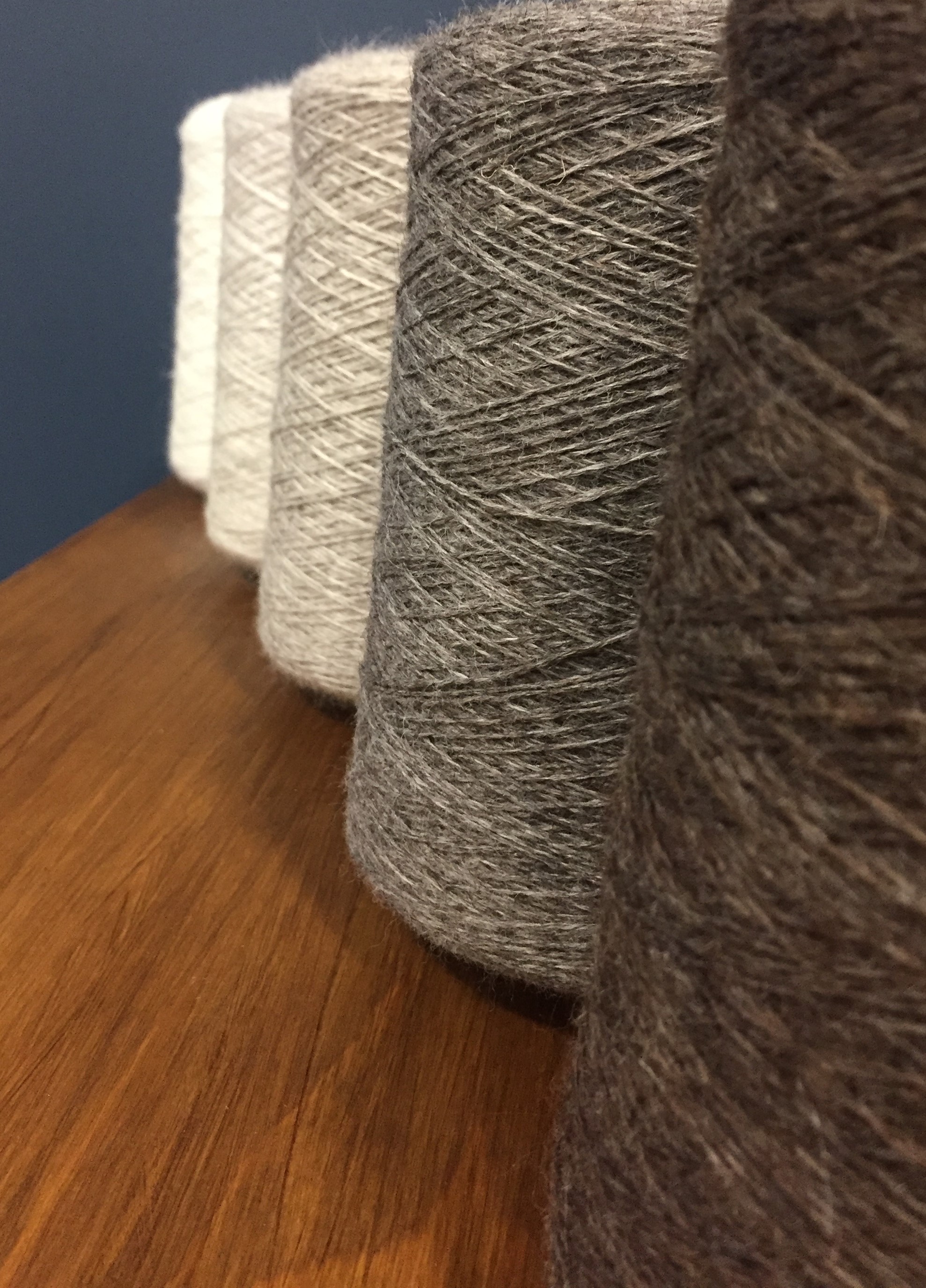 Laxtons Sheepsoft: A stock-supported fully-traceable machine knitting yarn - Knitting Industry ...